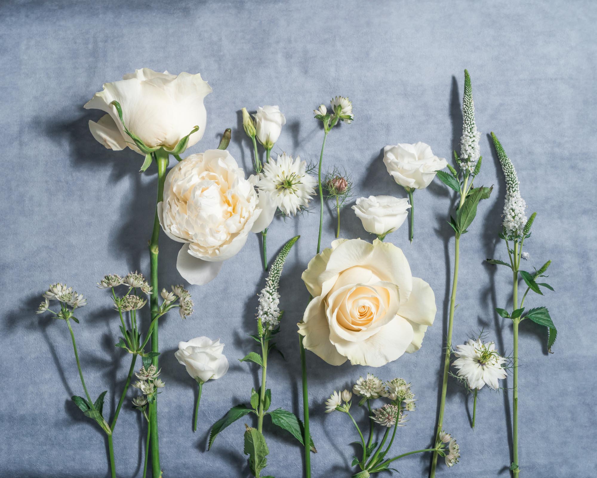 pearl- bouquet - go.botanica bespoke florists