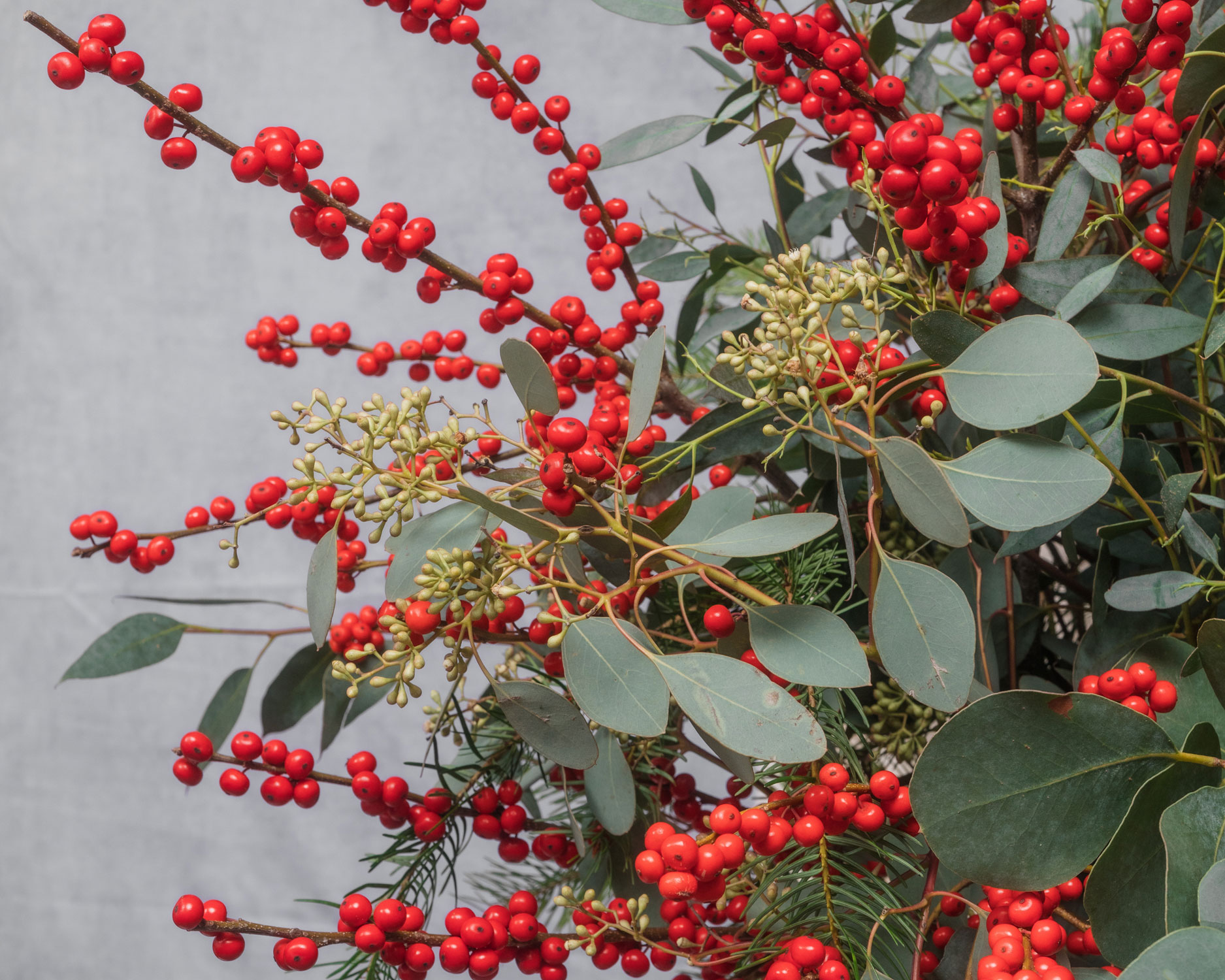 Robin Bouquet - Christmas Collection - go.botanica bespoke florist